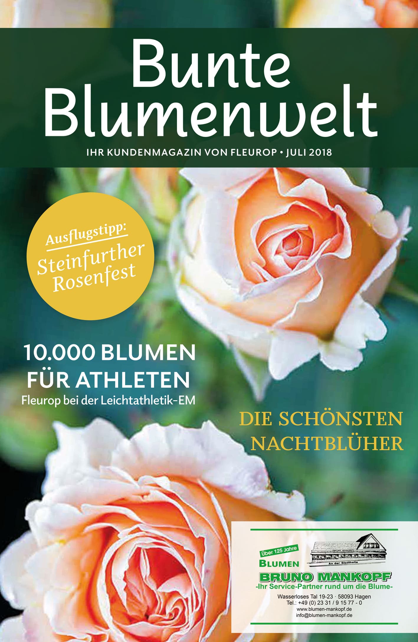 Bunte Blumenwelt Juli 2018 - Blumen Bruno Mankopf