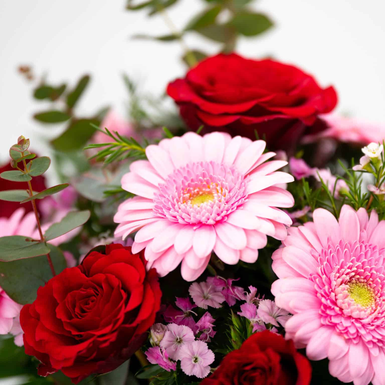 Merci cherie - Blumen Bruno Mankopf