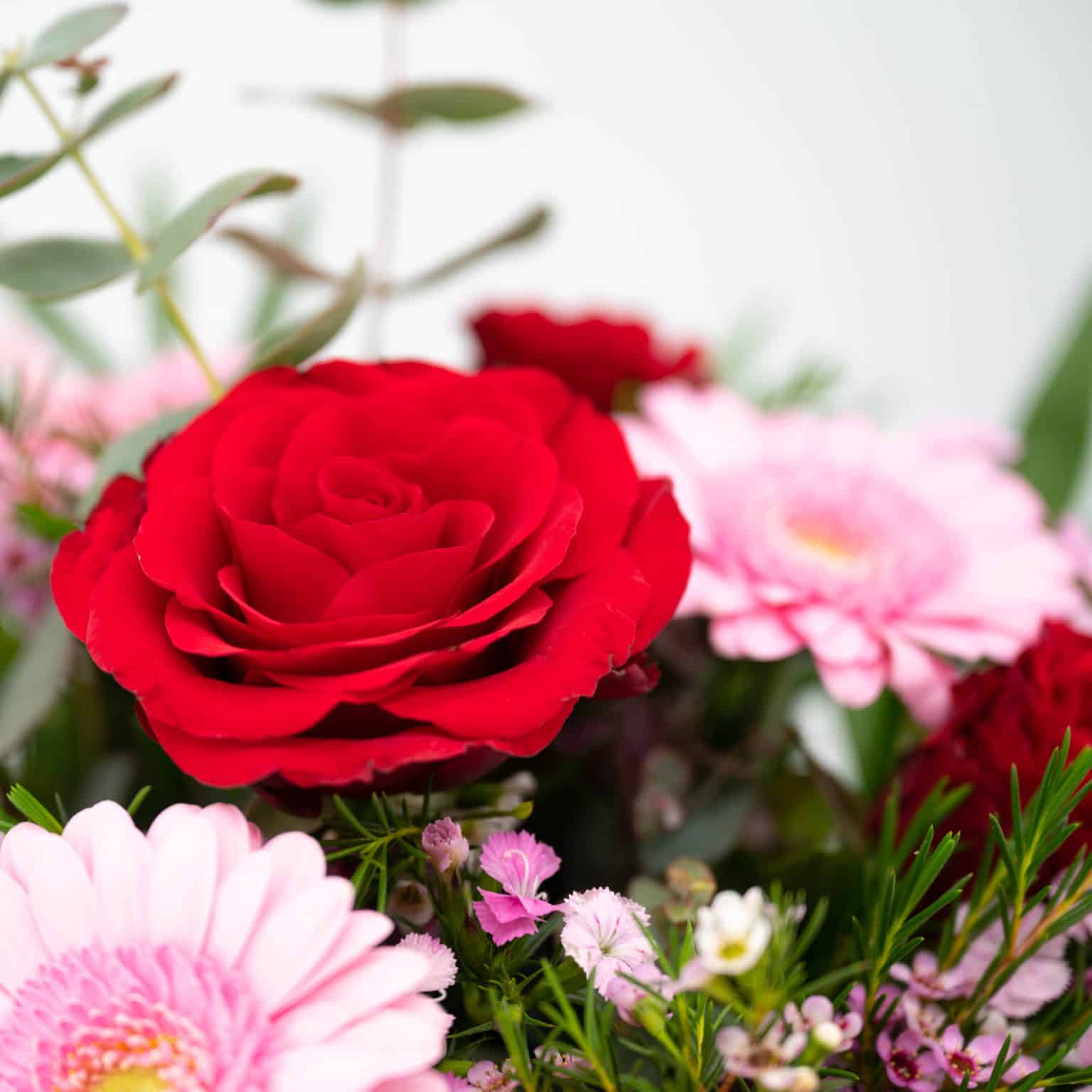 Merci cherie - Blumen Bruno Mankopf